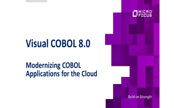 Visual COBOL 8 Launch Event Visual COBOL 8 Launch Event