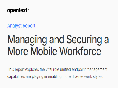 Managing and Securing a More Mobile Workforce Companion Report