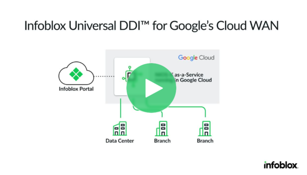 Google の Cloud WAN 向け Infoblox Universal DDI™