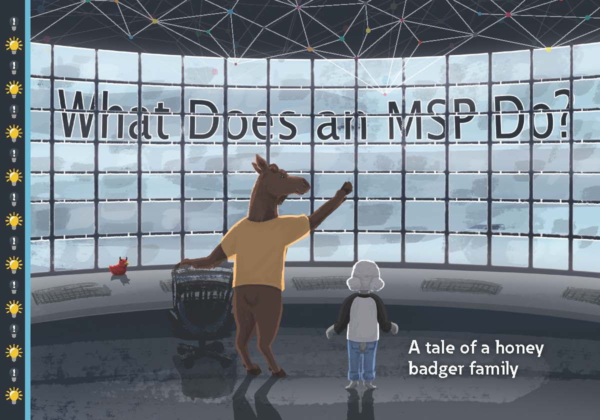What does an MSP do?