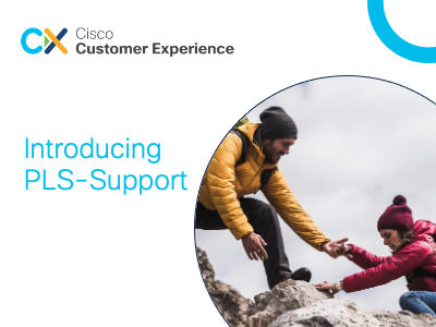 Introducing PLS-Support: deliver and brand premium-level support ...
