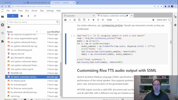 Exploring Riva’s Capabilities