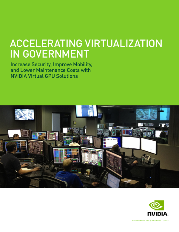 Virtualization for Government