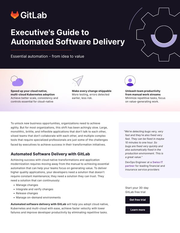 Executive's Guide to Automated Software Delivery