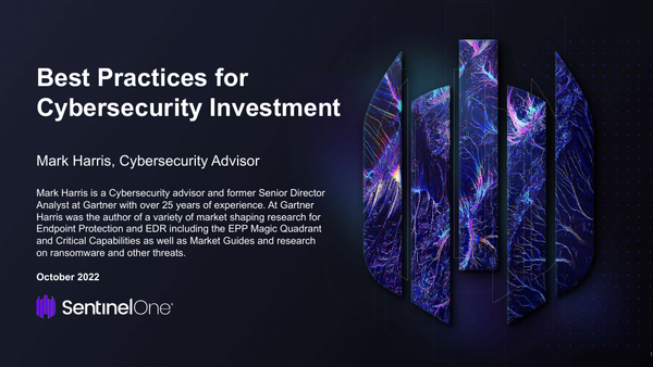 Sentinel One Best Practices For Cybersecurity Investment PPT