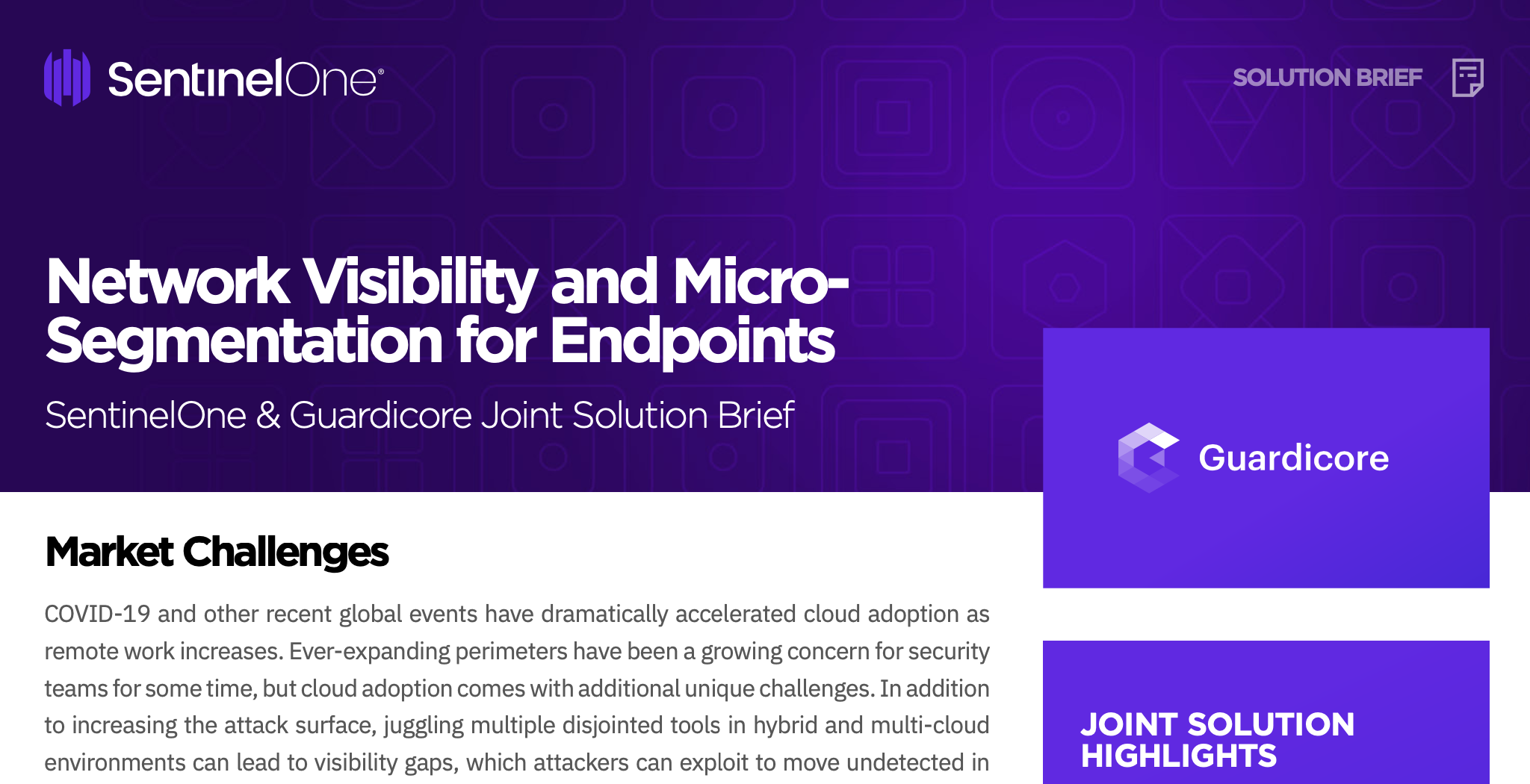 Network Visibility and Micro-Segmentation for Endpoints
