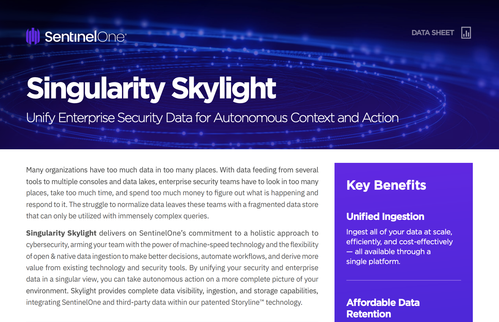 Singularity Skylight