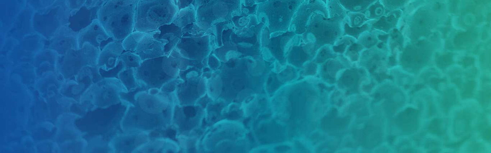 Explore our resources