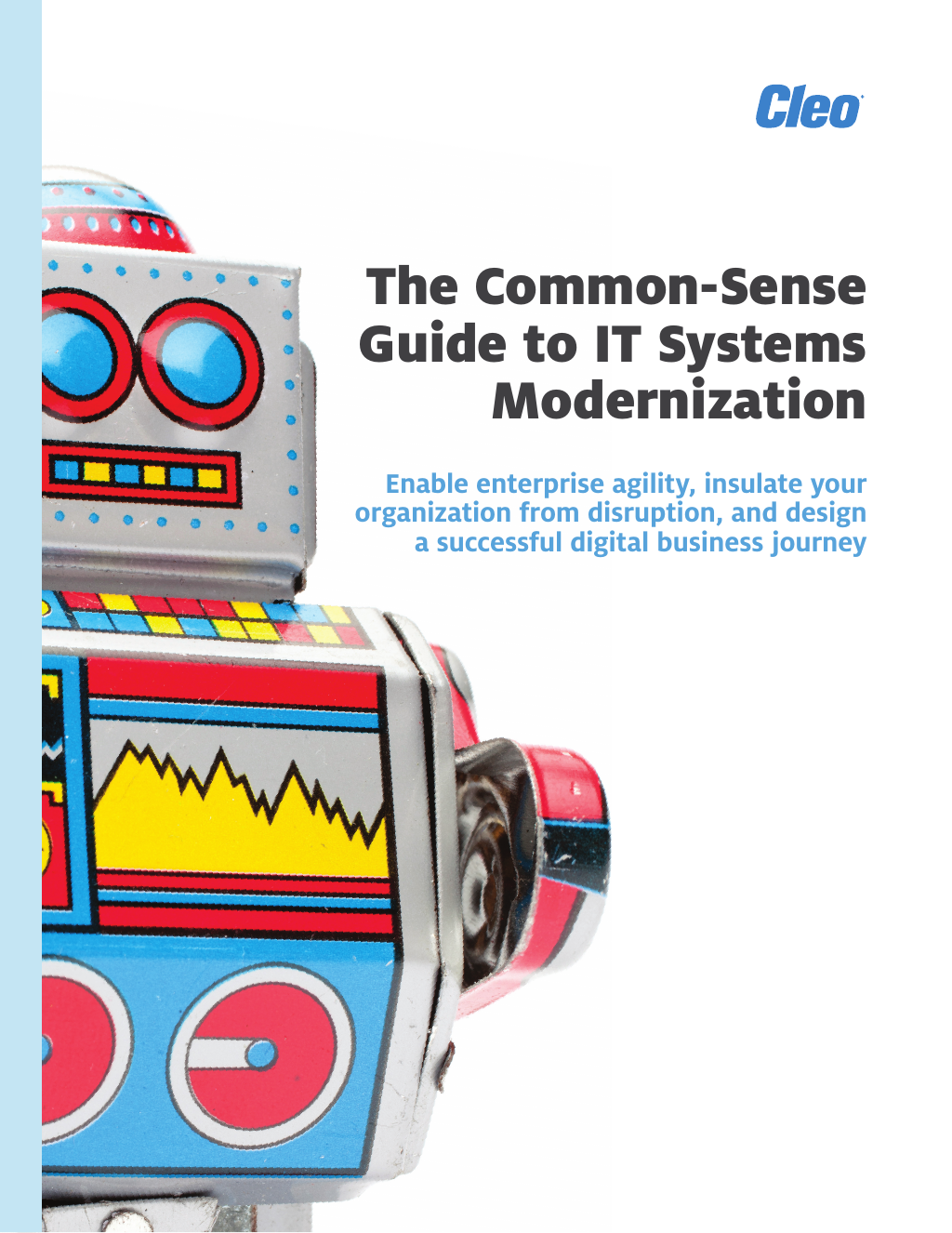 IT Systems Modernization