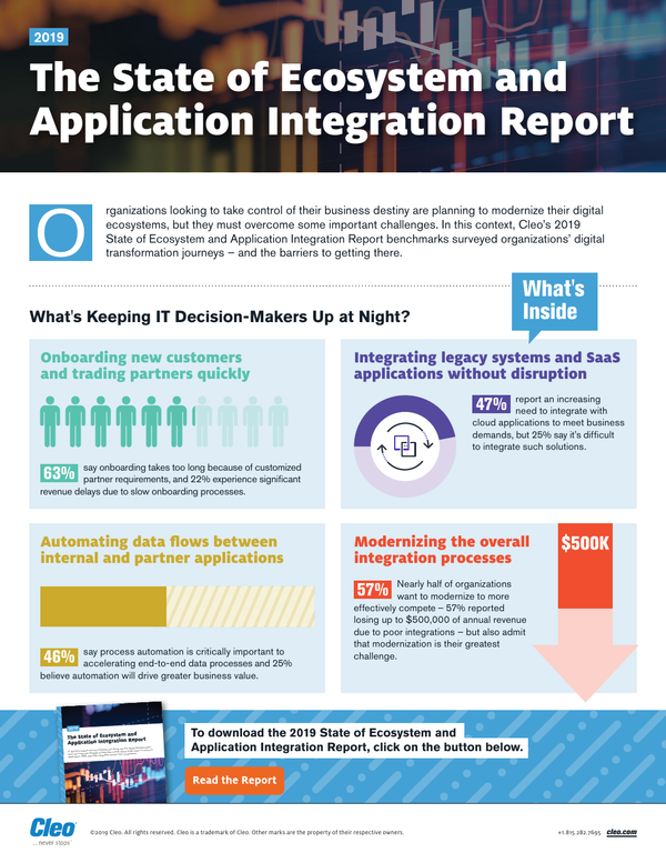 2019 The State of Ecosystem and Application Integration Infographic