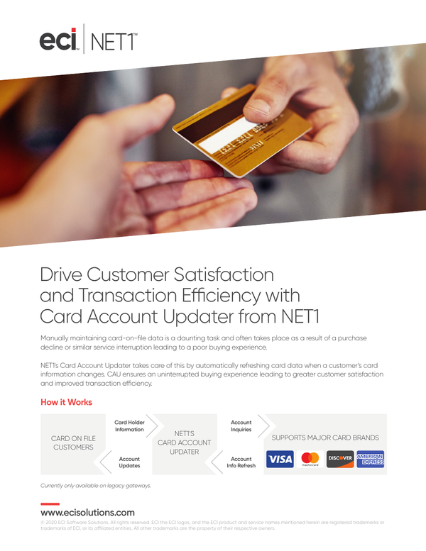 NET1 Payment Processing Flyer