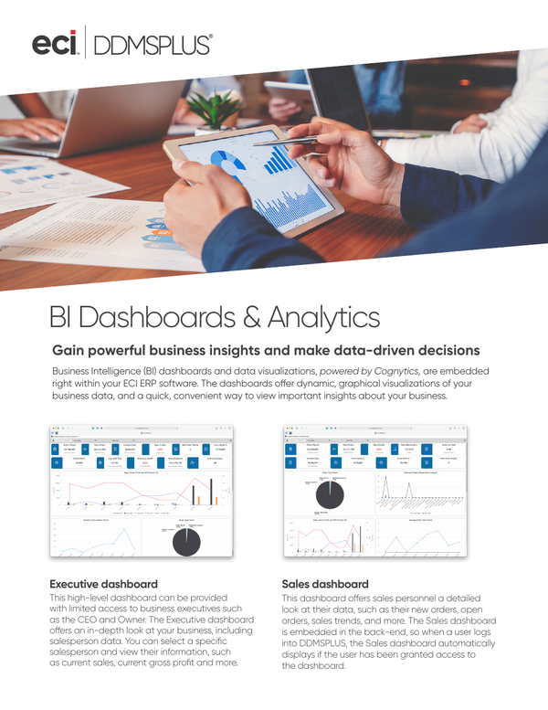 DDMSPLUS BI Dashboards & Analytics, powered by Cognytics