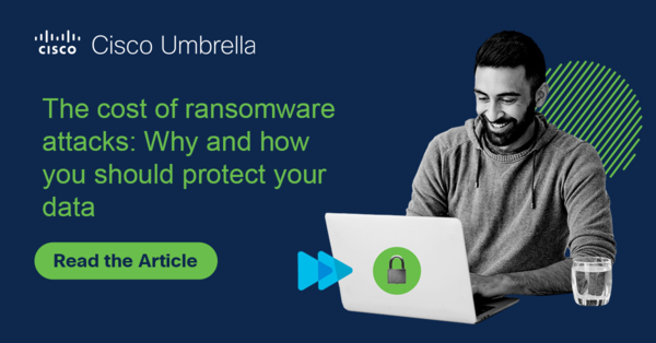 The cost of ransomware attacks: Why and how you should protect your data