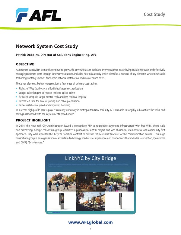 White Paper: Network System Cost Study