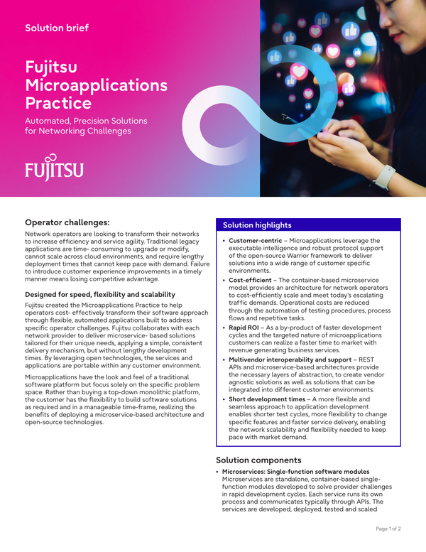 Fujitsu Microapplications Practice Solution